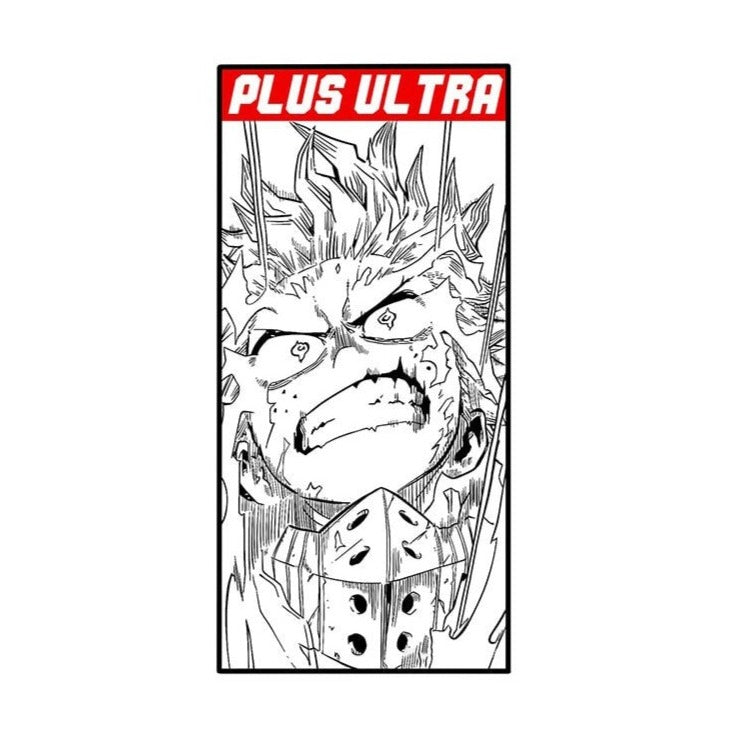 My Hero Academia 'Deku | Plus Ultra' Vinyl Car Sticker – Sticker Tuned