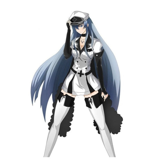 Akame ga Kill! 'Esdeath | Posing' Vinyl Car Sticker – Sticker Tuned