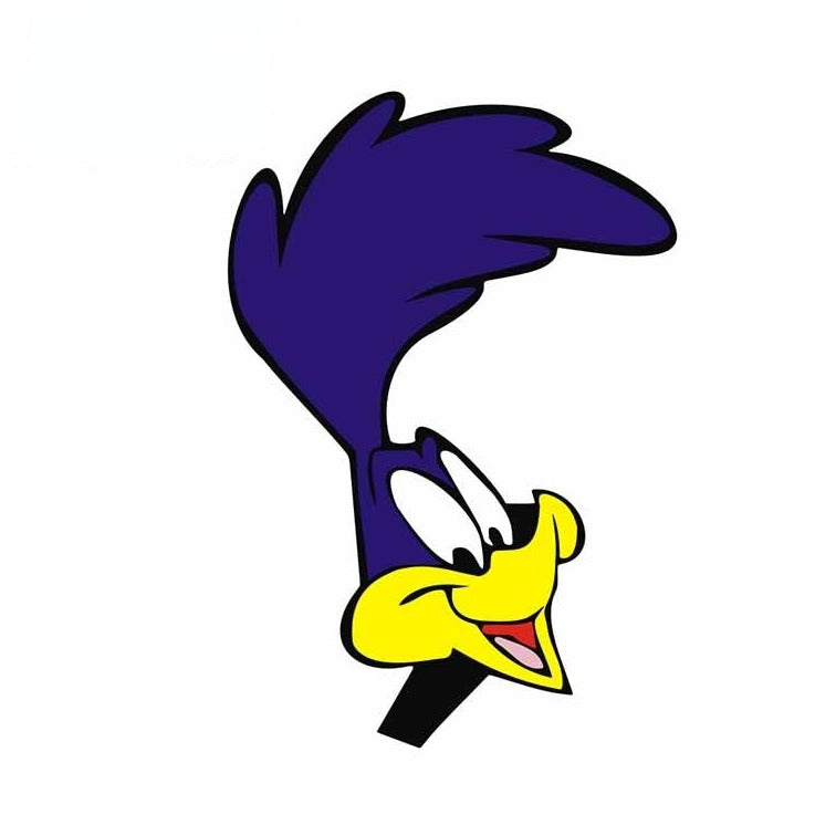 Looney Tunes 'Road Runner | Face' Vinyl Car Sticker – Sticker Tuned