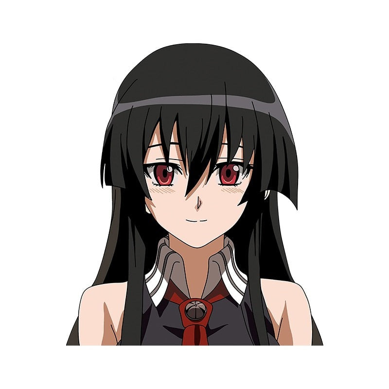 Akame ga Kill! 'Akame | Staring | Right' Vinyl Car Sticker – Sticker Tuned