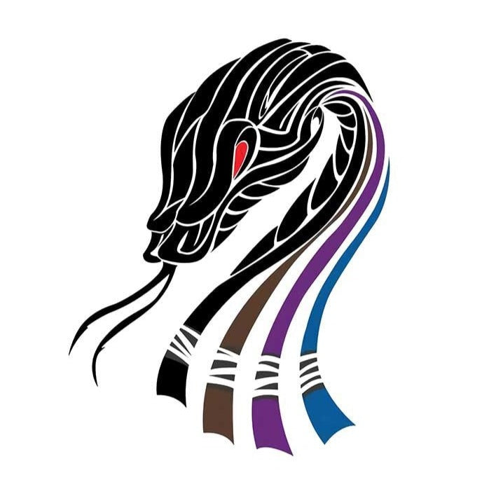 Cool 'Jiu Jitsu Snake Belts' Vinyl Car Sticker – Sticker Tuned