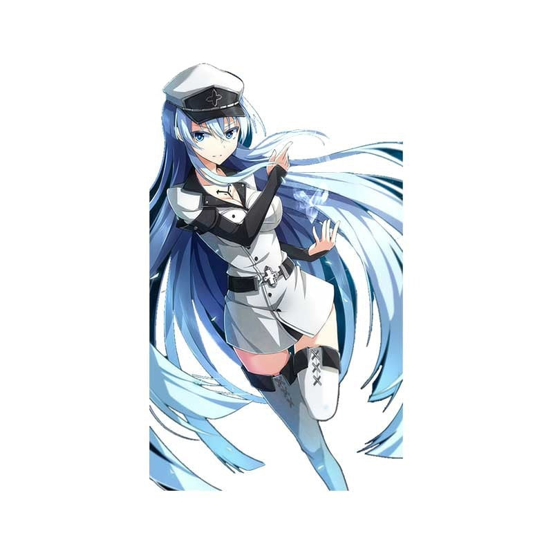 Akame ga Kill! 'Esdeath | Focusing' Vinyl Car Sticker – Sticker Tuned
